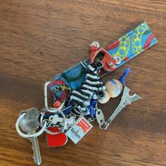 Gevonden voorwerpen bij Breng Arnhem | iLost